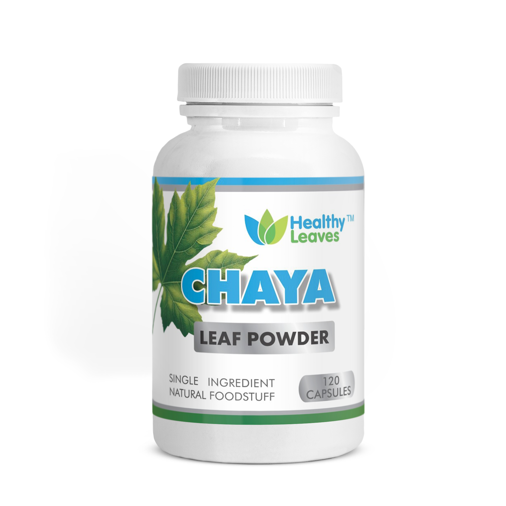 Chaya (Spinach Tree) – Healthy Leaves